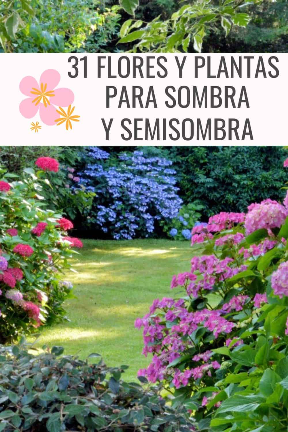 30 Flores De Sombra y plantas de Sombra parcial