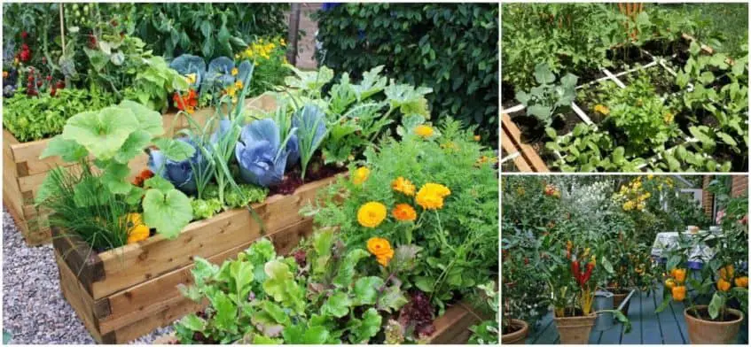 ¿Cómo hacer un huerto urbano? Balcón, techo, porche y patio