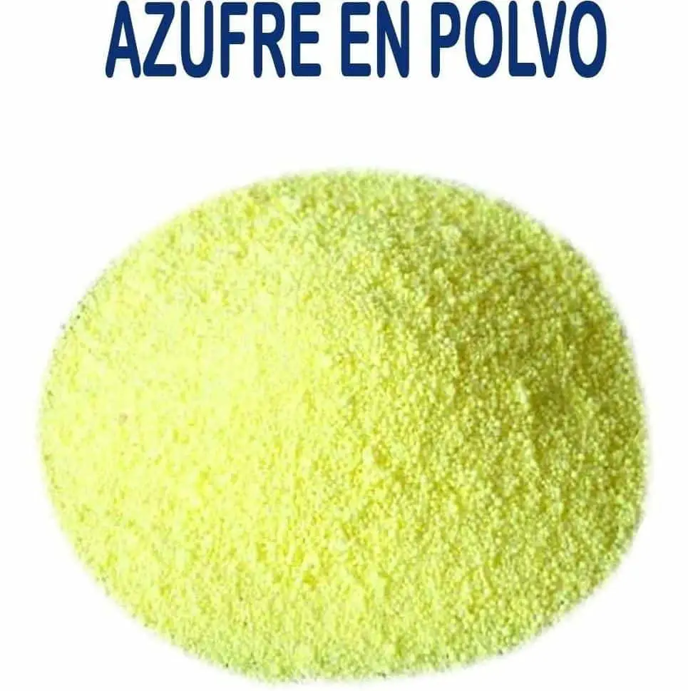 ¿Cómo Eliminar las Pulgas y Garrapatas del Jardín? - La Jardinoteca