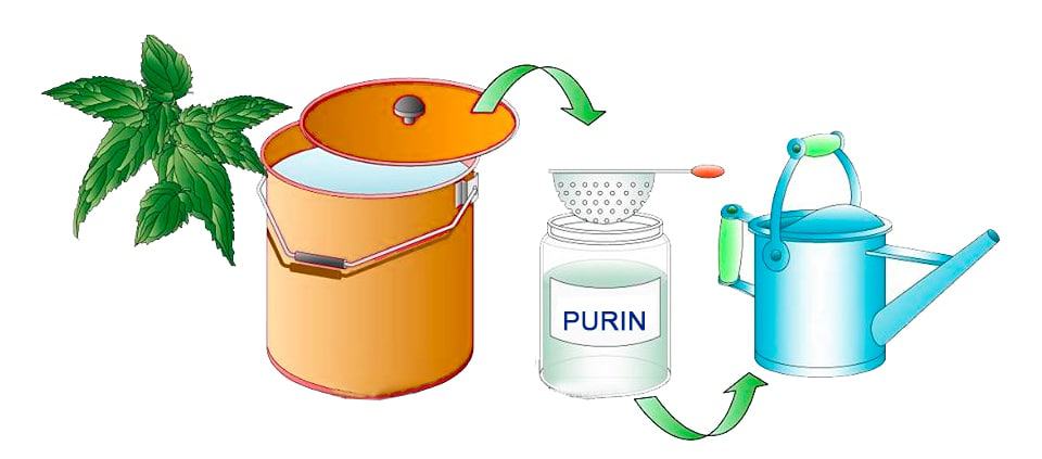 Hacer Purín de Ortigas, abono orgánico y plaguicida casero